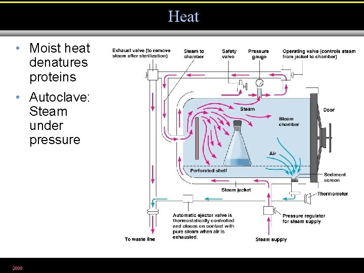 MICROBIOLOGY Chapter 7 The Control of Microbial Growth