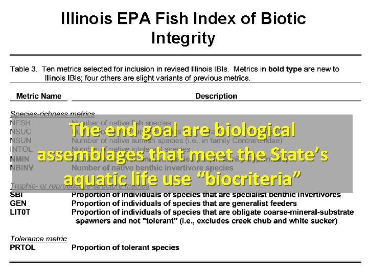 Biological and Water Quality Assessment of the Upper