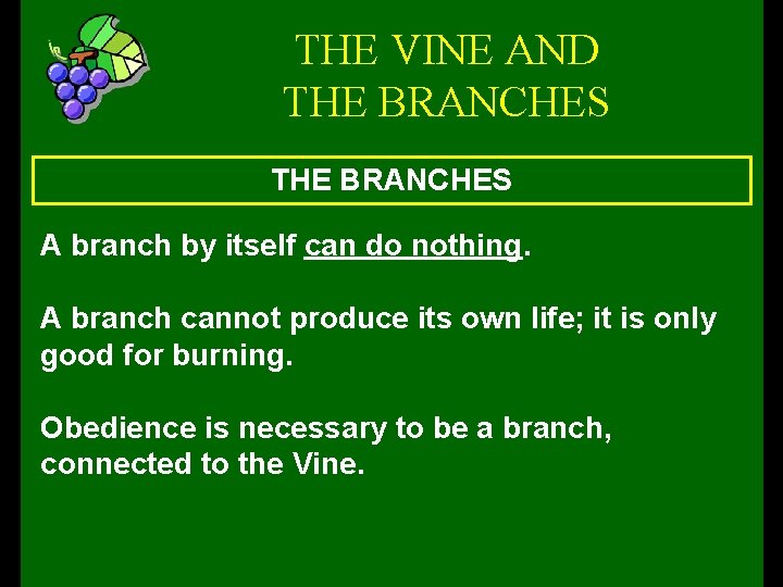 THE VINE AND THE BRANCHES THE VINE AND
