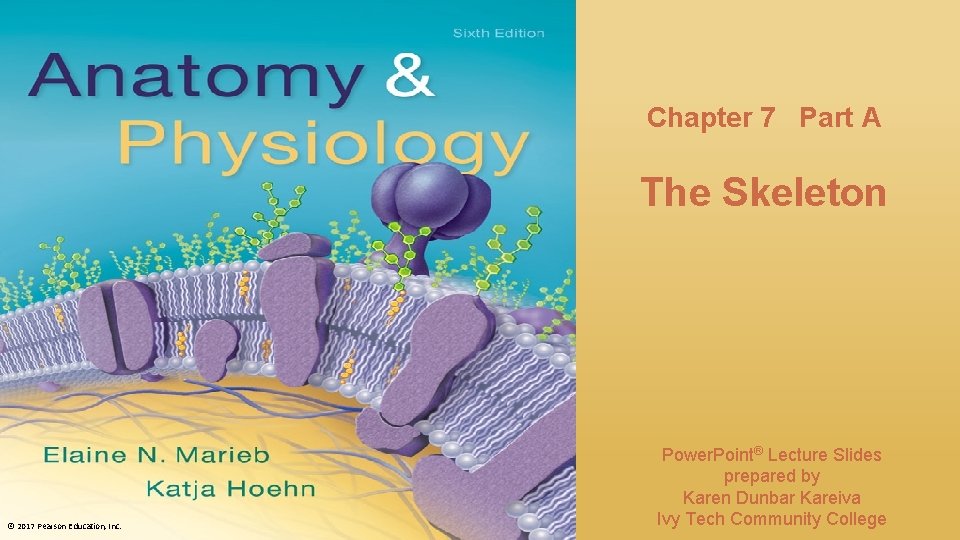 Chapter 7 Part A The Skeleton Annie LeibovitzContact