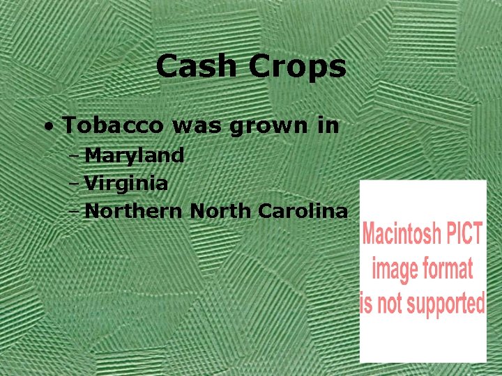 The Southern Colonies Chapter 7 Settling the South