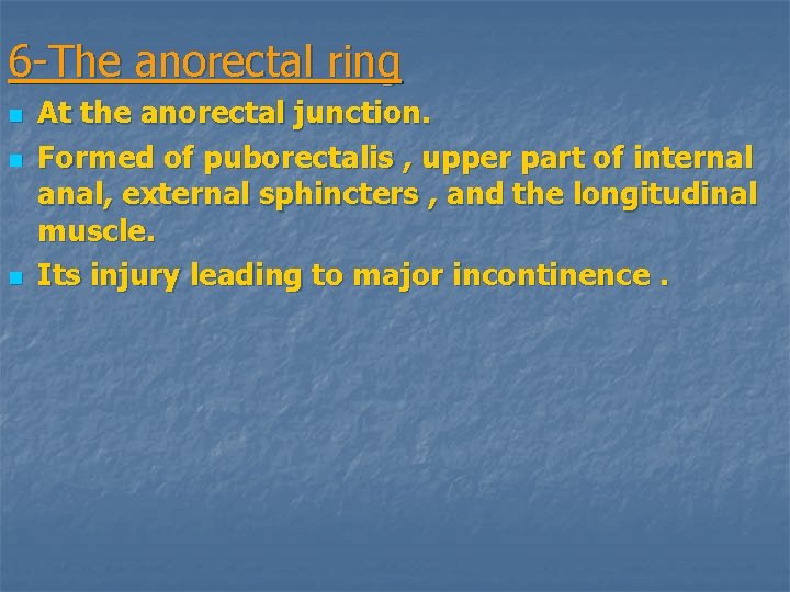 BY Dr Omar Abd AL Rheem Surgical Anatomy