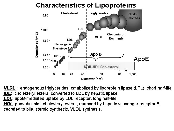 Lipid Lowering Agents Hamid Boulares Ph D Department