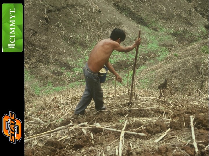 Bill Raun OSU BS 1979 OSU MS 1982