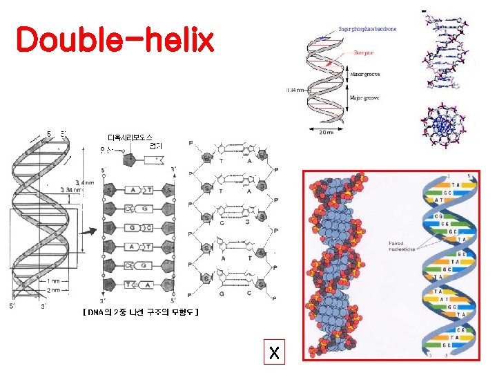 Chap 1 Molecular and Biological Chemistry BIOINFORMATICS BTBio