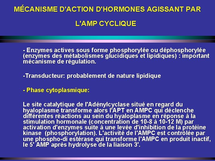 FONCTION DE LA MEMBRANE PLASMIQUE GENERALITES SUR LA