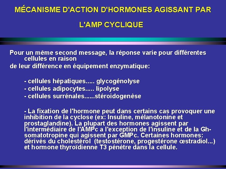 FONCTION DE LA MEMBRANE PLASMIQUE GENERALITES SUR LA