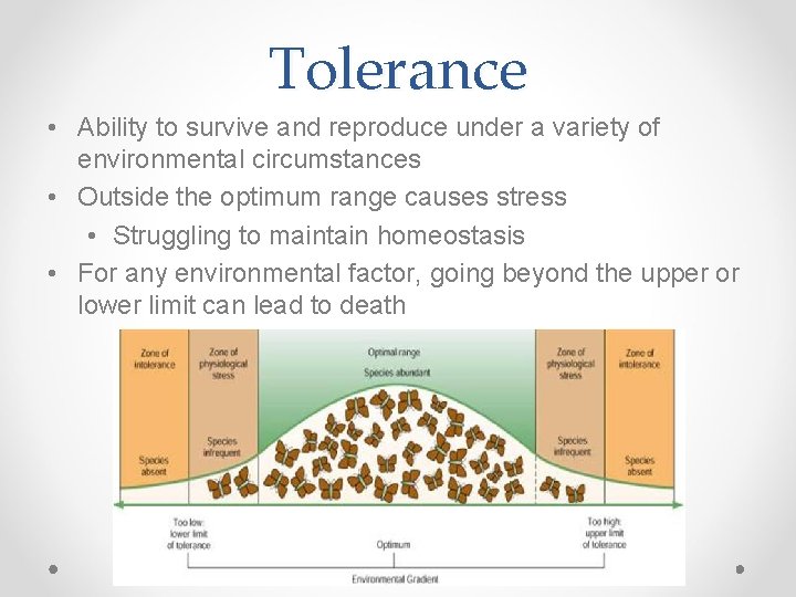 Activity 17 Habitats EQ What are some of