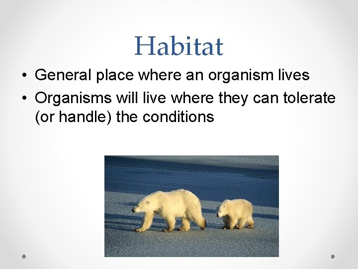 Activity 17 Habitats EQ What are some of