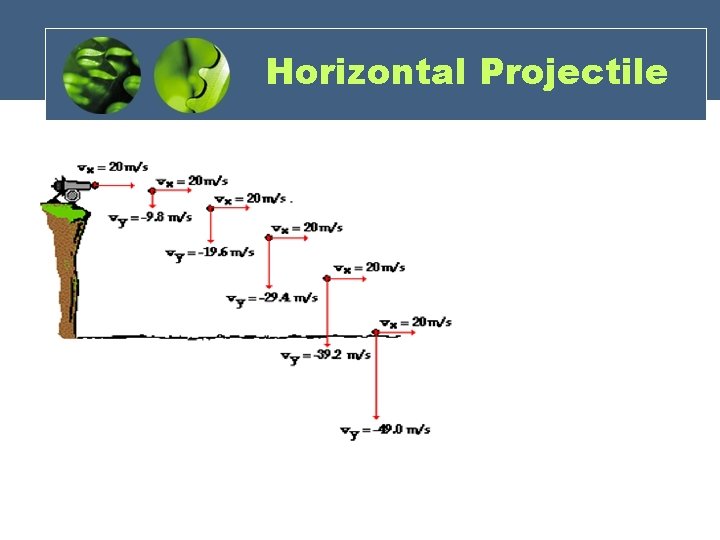 What is Projectile Motion Instructional Objectives Students will