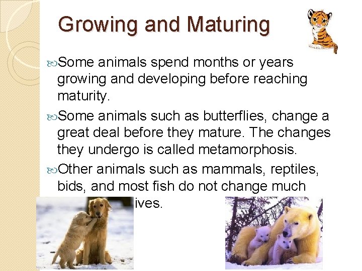Chapter 4 Animal Growth and Heredity Lesson 1