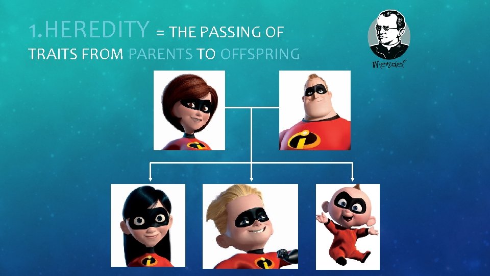 1 HEREDITY THE PASSING OF TRAITS FROM PARENTS