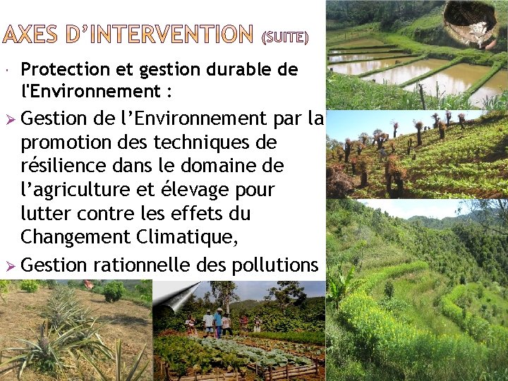 GESTION DURABLE DE RESSOURCES NATURELLES ET AGRICULTURE FAMILIALE