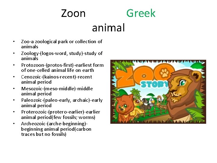 Greek and Latin Roots 1 89 100 Zoon