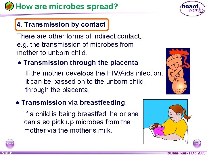 Lesson 2 The spread of disease The big