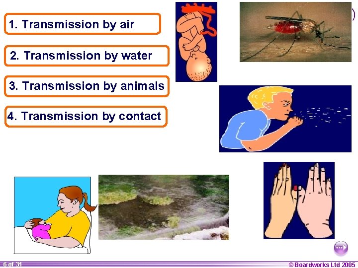 Lesson 2 The spread of disease The big