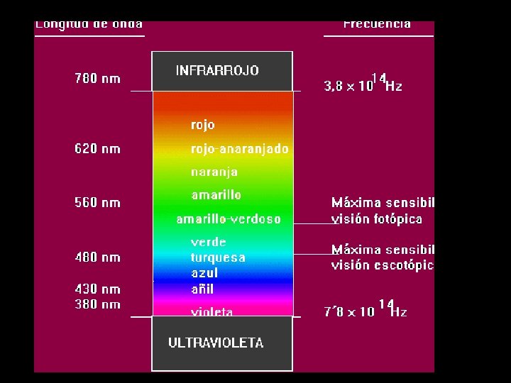 OPTICA Intensidad luminosa Candela La candela es una