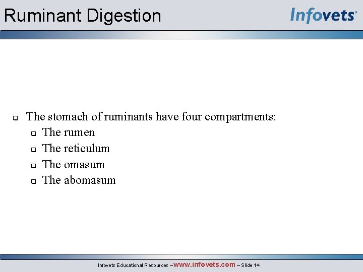 B 87 The Digestion Process Lesson Outline Introduction