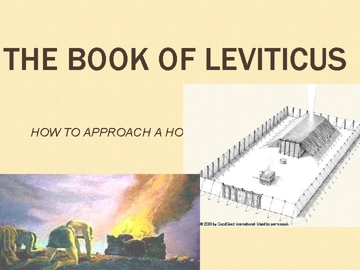 THE BOOK OF LEVITICUS HOW TO APPROACH A