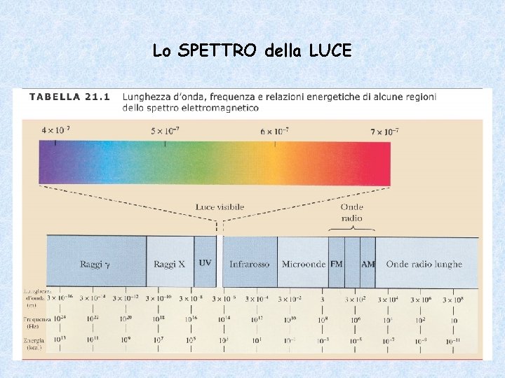 Lo SPETTRO della LUCE Double beam spectrophotometer Spettrofotometro
