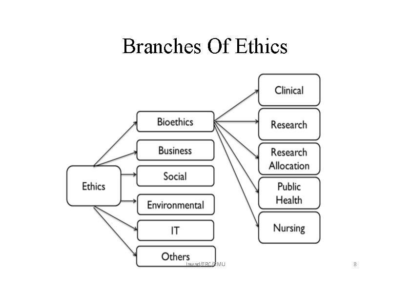 Ethical Review Committee ERC Prof Dr Md Jawadul