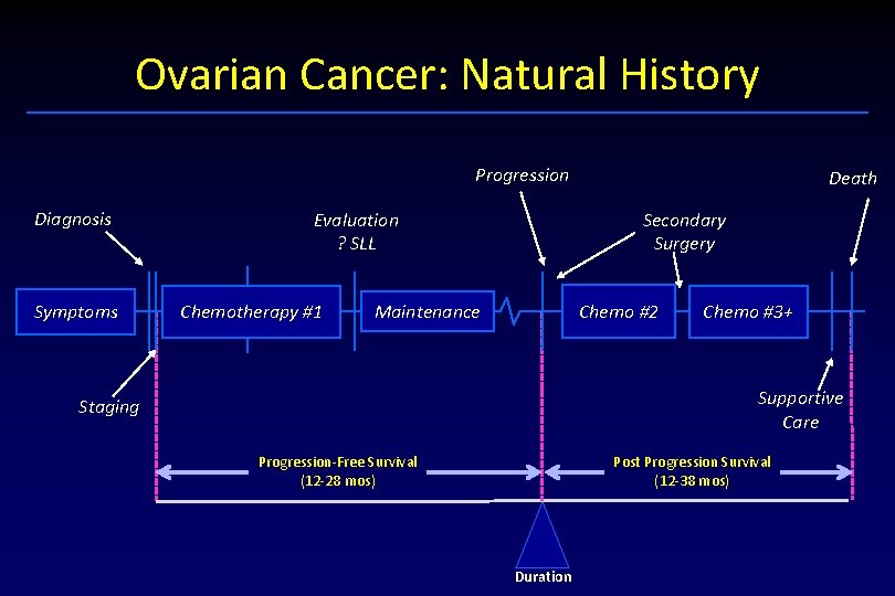 Ovarian Cancer Standards of Care and New Opportunities