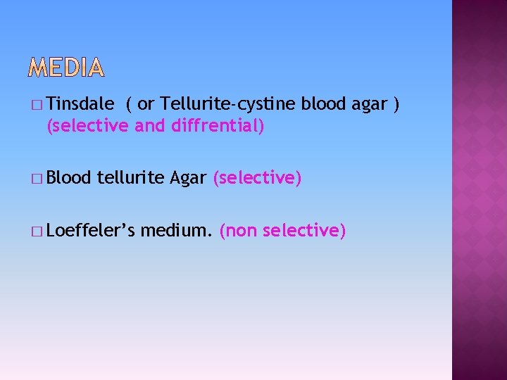 CORYNEBACTERIUM Lecture 8 Basmah Almaarik Catalase ve Motile