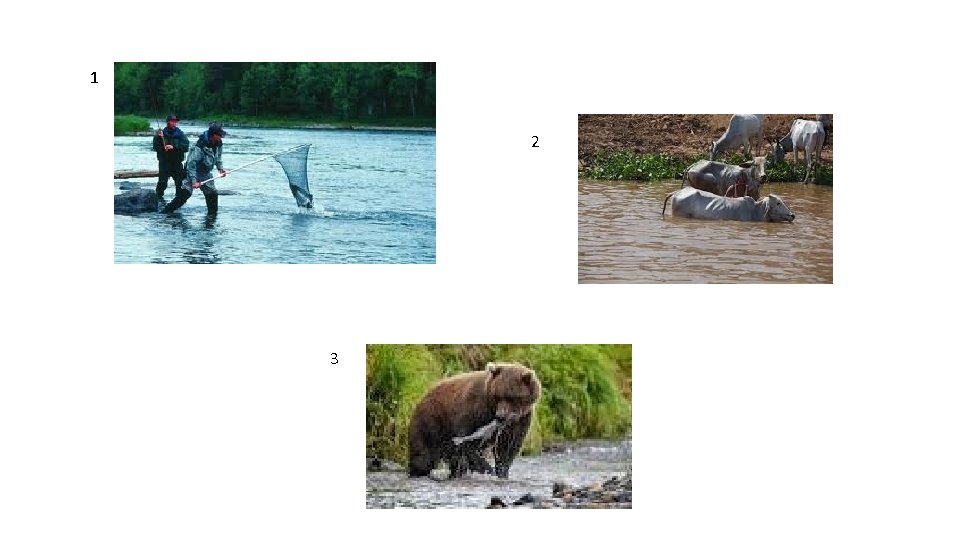 6 March 2019 How are rivers important to