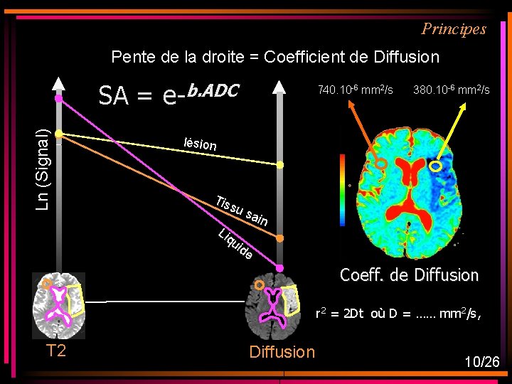 Diffusion Technique 1 Connatre les principes 2 Comprendre