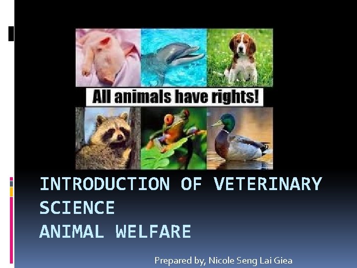 INTRODUCTION OF VETERINARY SCIENCE ANIMAL WELFARE Prepared by