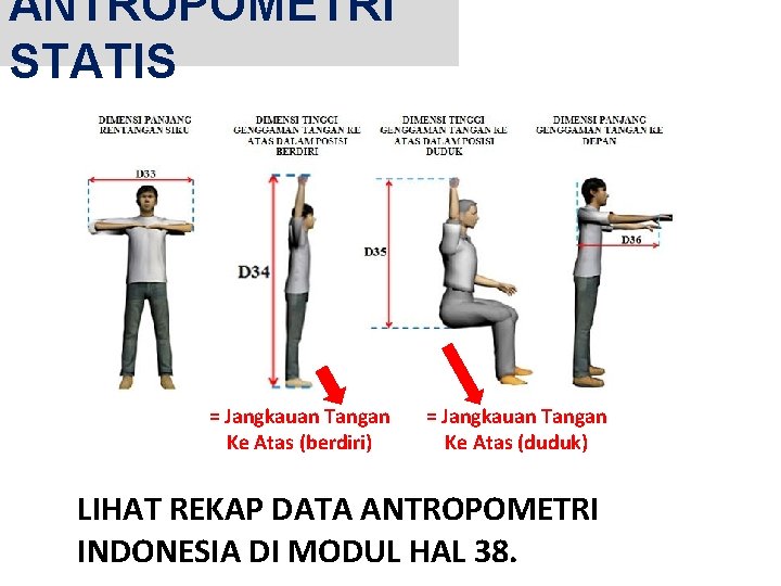 ANTROPOMETRI DESAIN SARANA Perencanaan URM TM 8 ANTROPOMETRI