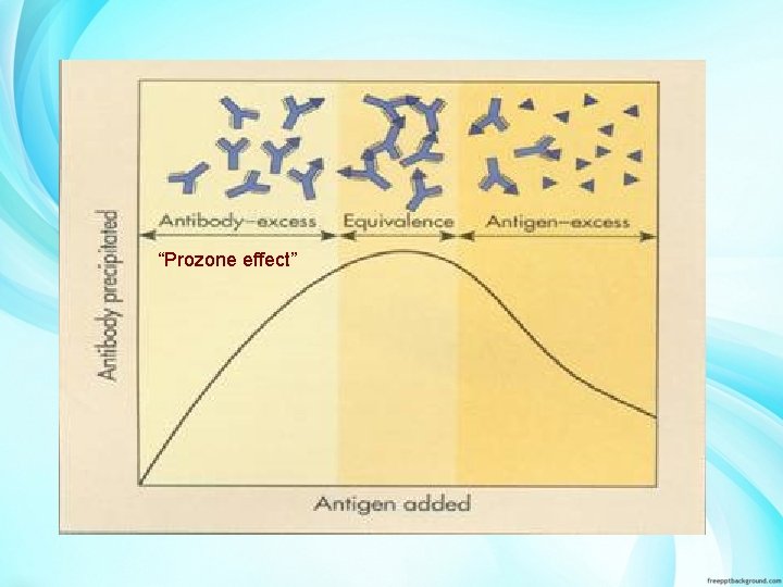 AntigenAntibody reactions Lets start The immune system The