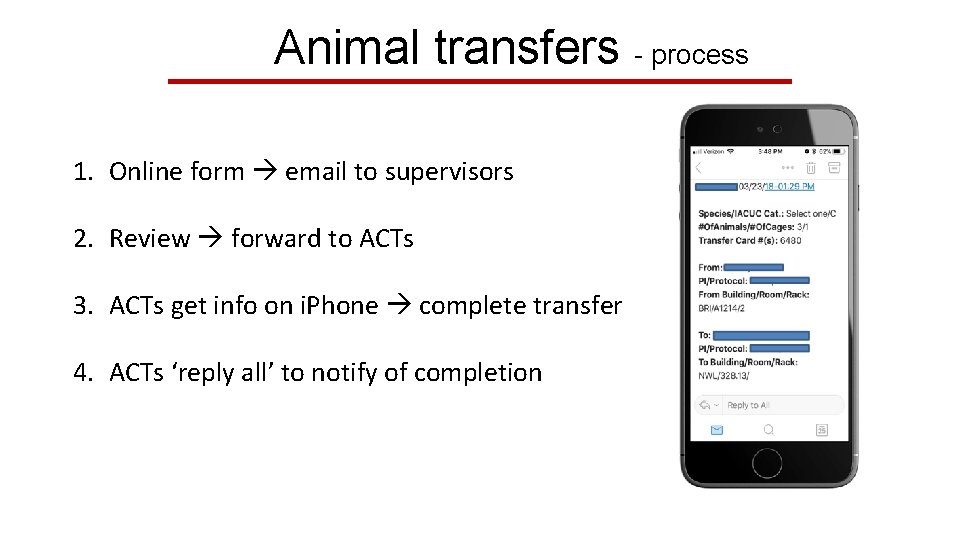 Looking Ahead Ethan Hildebrand BS LATG Animal Systems