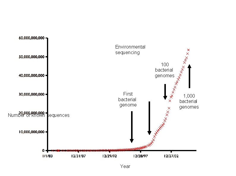 The bioinformatics behind shotgun metagenomic sequencing Roche UG
