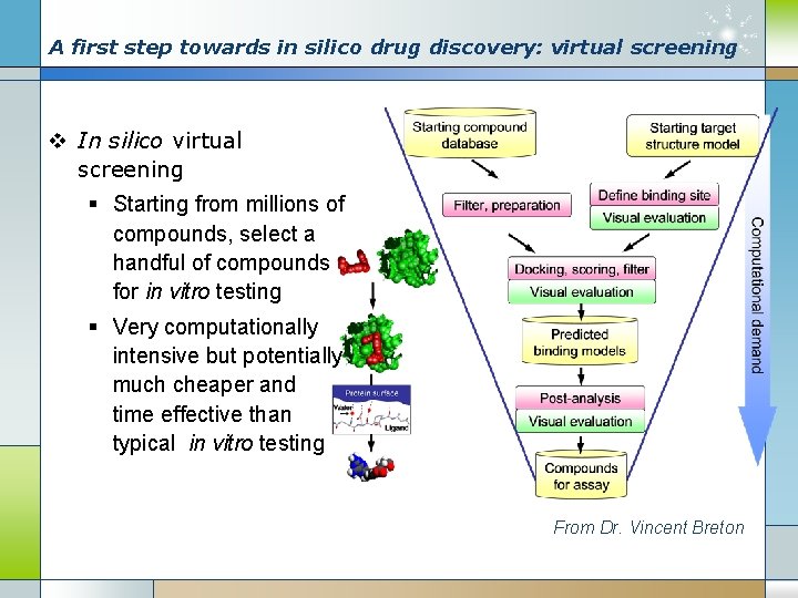 Virtual screening and inhibition assay of human intestinal