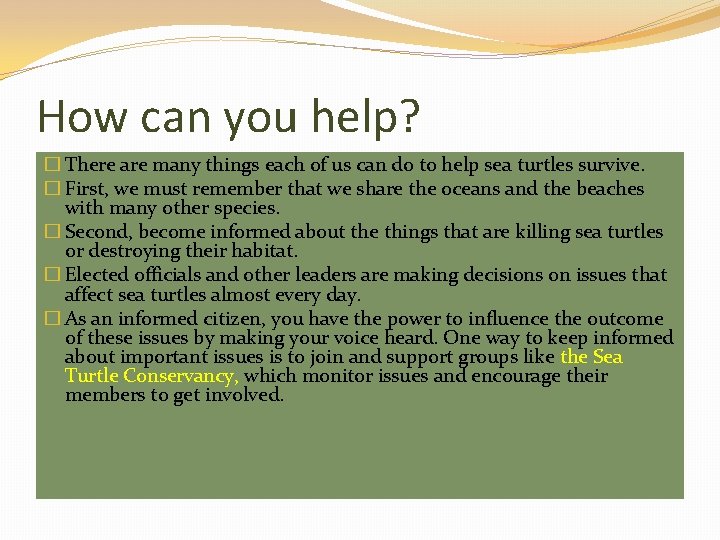 SEA TURTLES An Introduction to Sea Turtles Sea