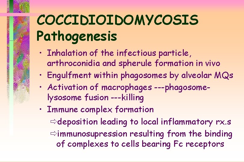ENDEMIC MYCOSES Sevtap Arikan MD TRUE SYSTEMIC ENDEMIC