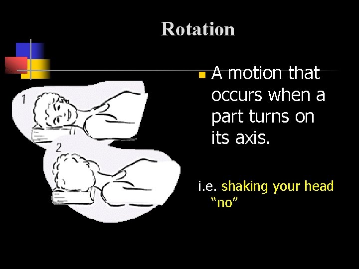 Skeletal System Skeletal System 206 bones Functions n