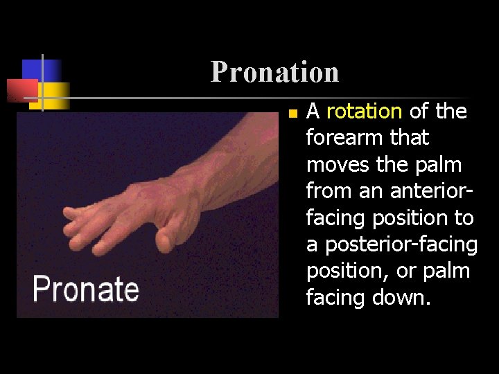 Skeletal System Skeletal System 206 bones Functions n