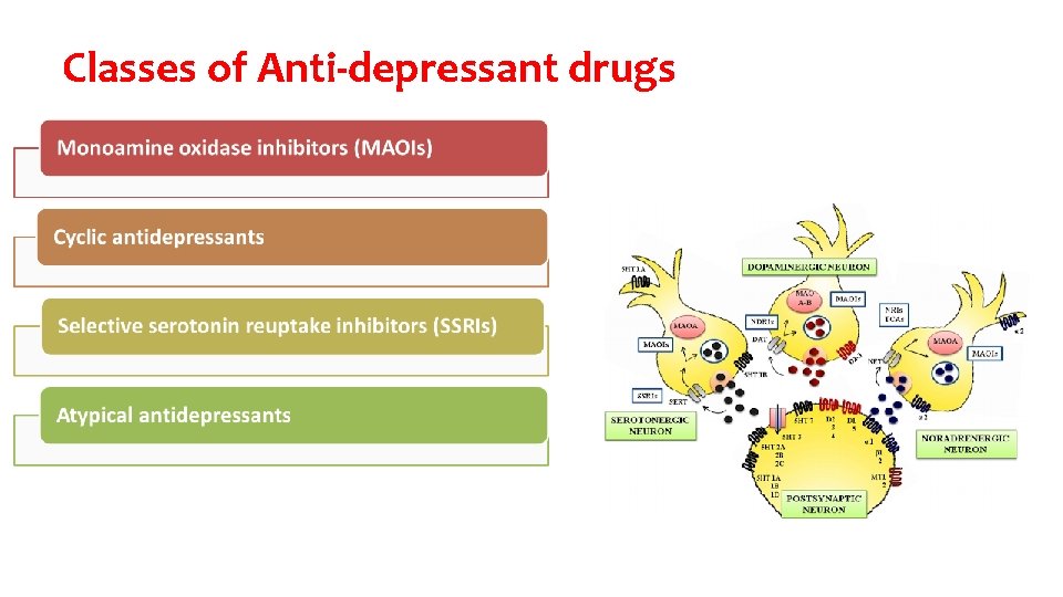 Anti depressants Toxicity Clinical toxicology lab6 5 th