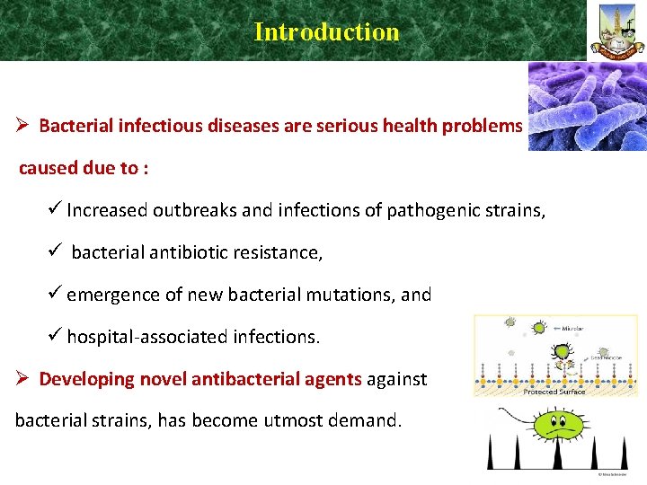 Morphological dependence of Zn O nanostructures on antibacterial