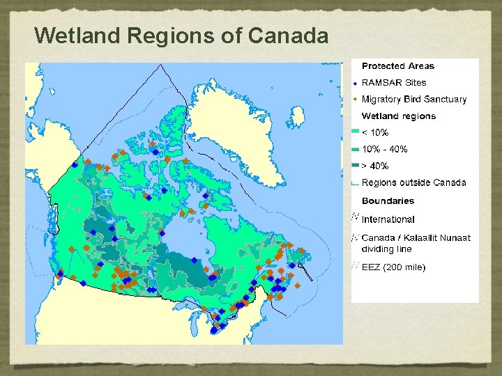WETLANDS From Bogs to Swamps Pamela Zevit RPBio