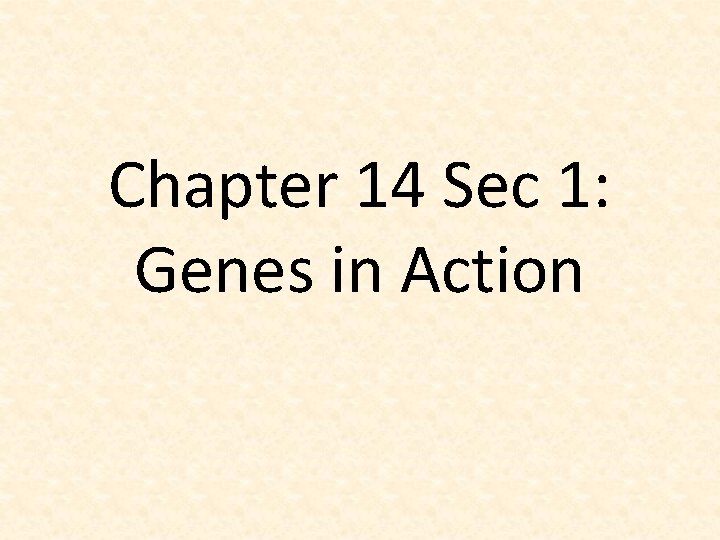 Chapter 14 Sec 1 Genes in Action Mutation