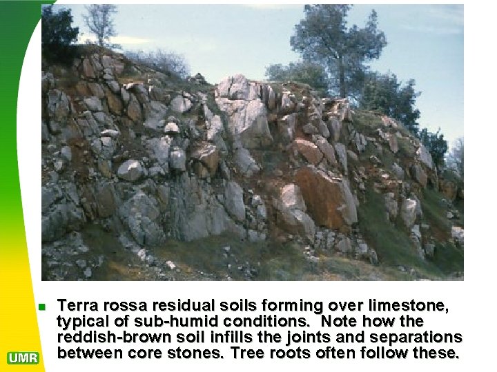 Part 6 WEATHERING OF CARBONATE ROCK n Limestone