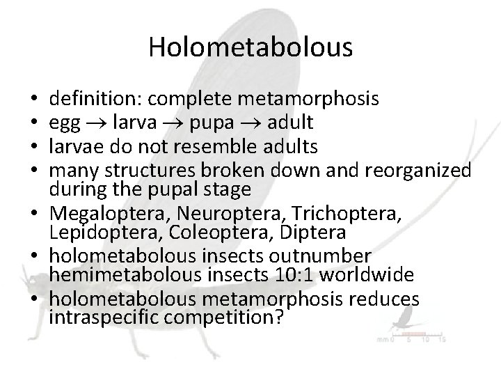 Diversity of Aquatic Insects Lecture By Michael D