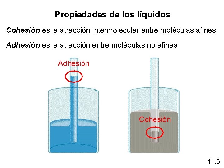 Las fuerzas intermoleculares y los lquidos y slidos