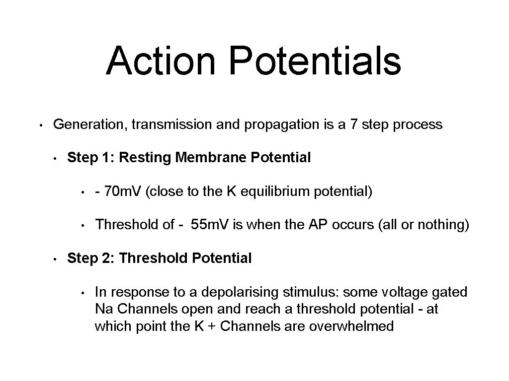Nerves and Muscles The Nerve Cell body 5