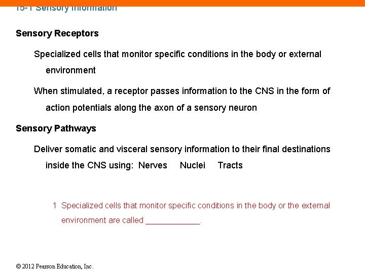 FUNDAMENTALS OF ANATOMY AND PHYSIOLOGY Mrs Willie Grant