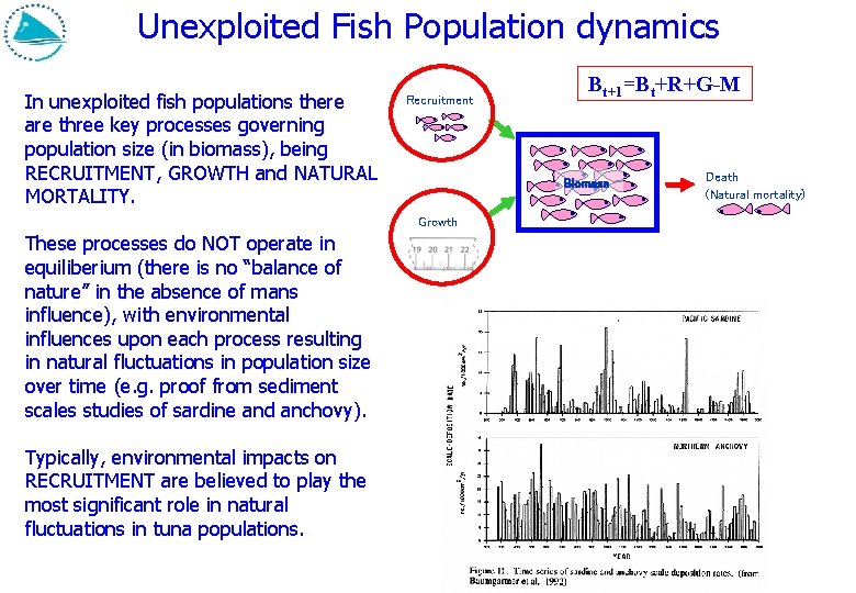 Day 6 Revision Fish Population dynamics Unexploited Fish