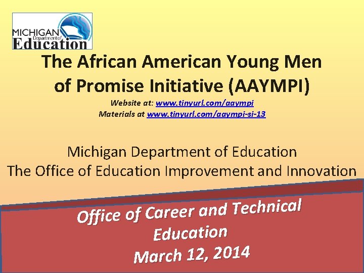 The African American Young Men of Promise Initiative